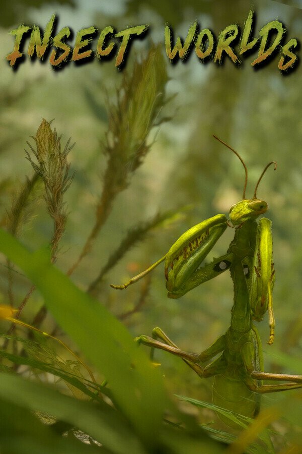 Insect Worlds - Desktop Wallpapers, Phone Wallpaper, PFP, Gifs, and More!