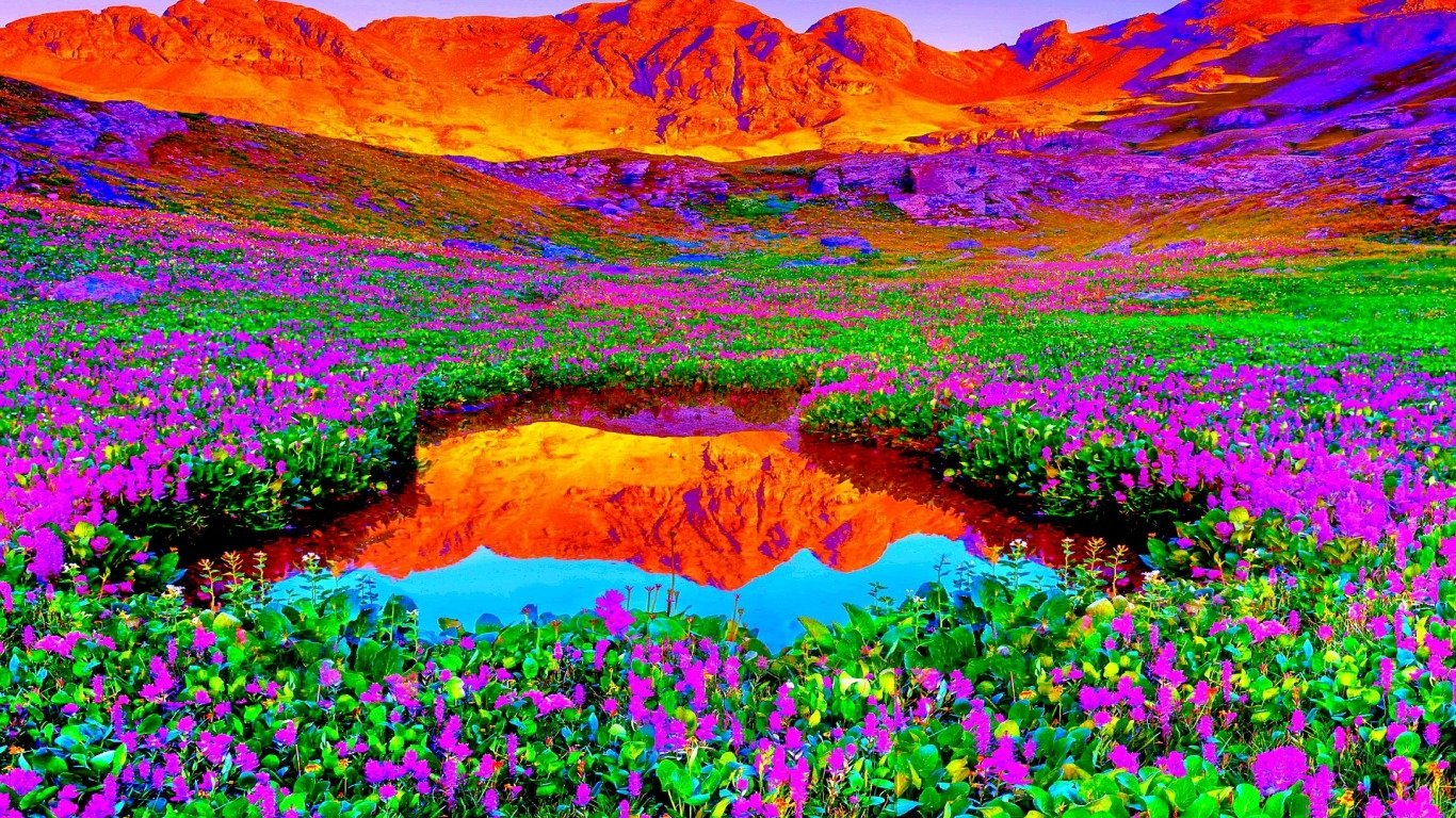 Alpenglow Meadow: Mountain Reflection