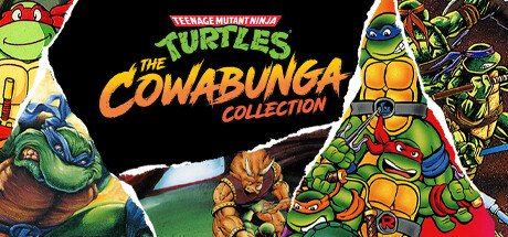 Teenage Mutant Ninja Turtles: The Cowabunga Collection - Desktop ...