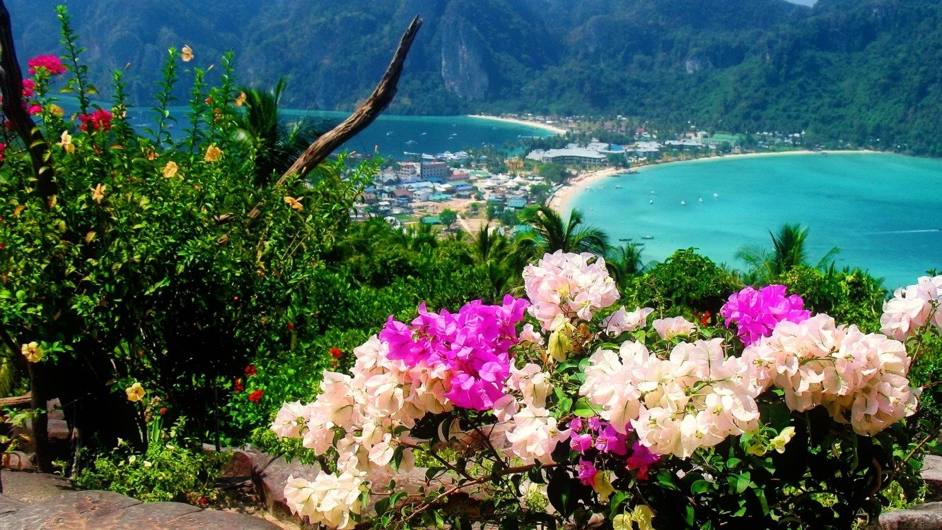 Coastal Blooms: Vibrant Beachside Views Through the Lens