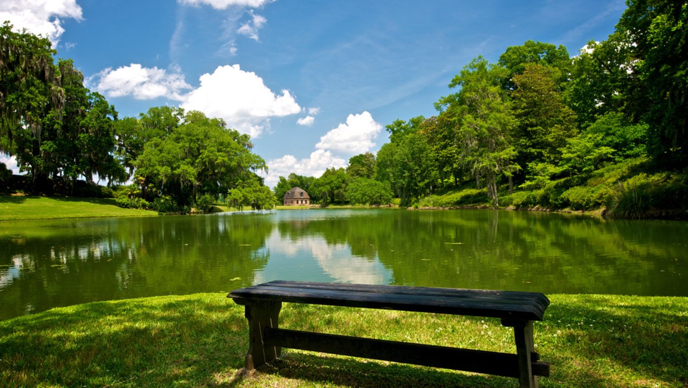 Autumn in Central Park - Image Abyss