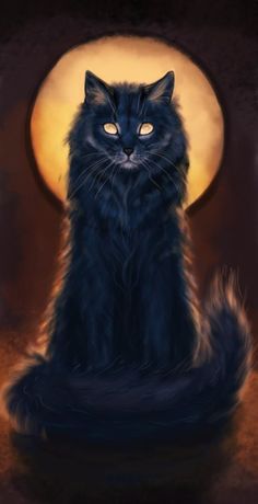 Download Fantasy Cat Image