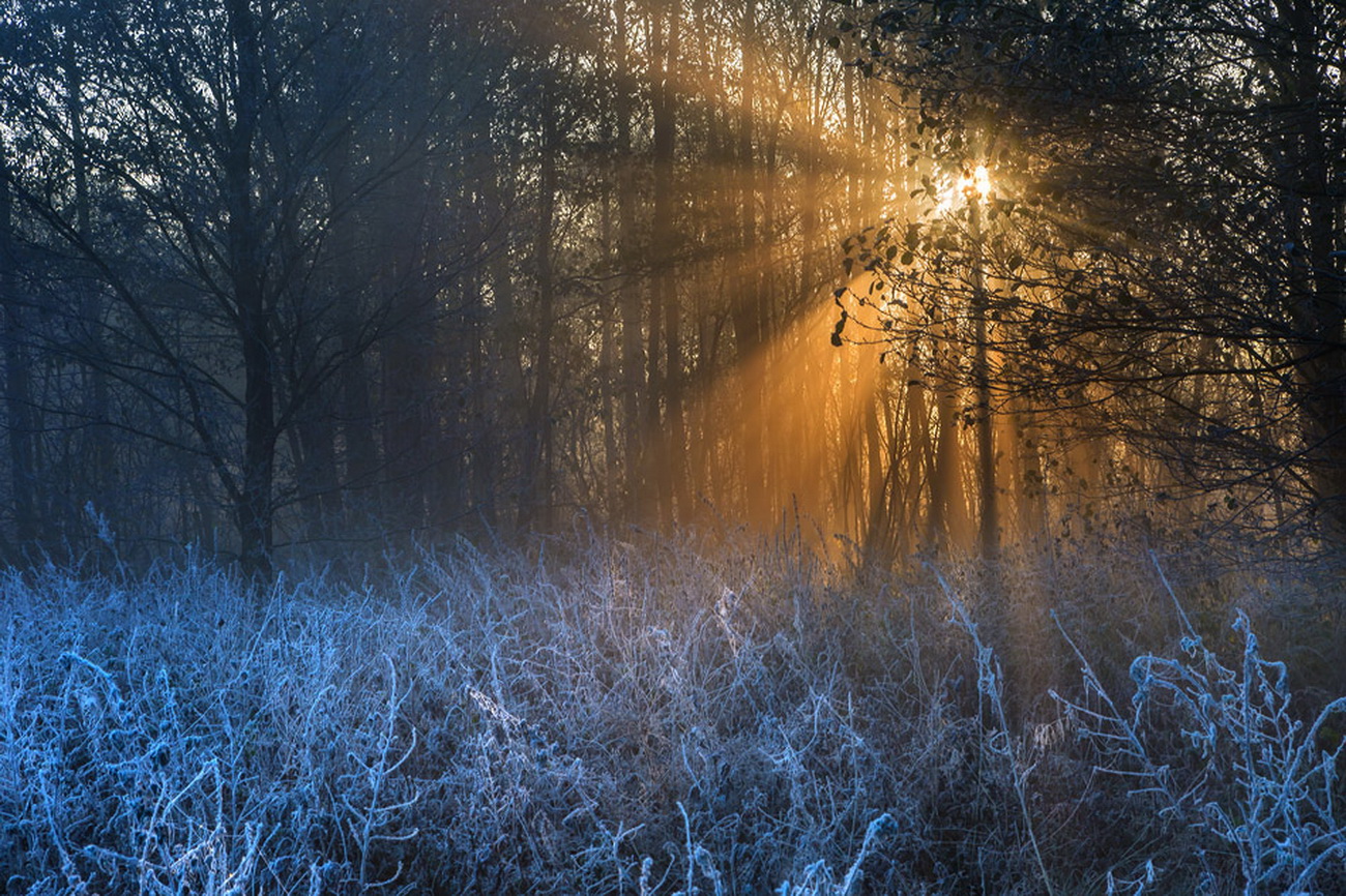 Sunbeam Picture - Image Abyss