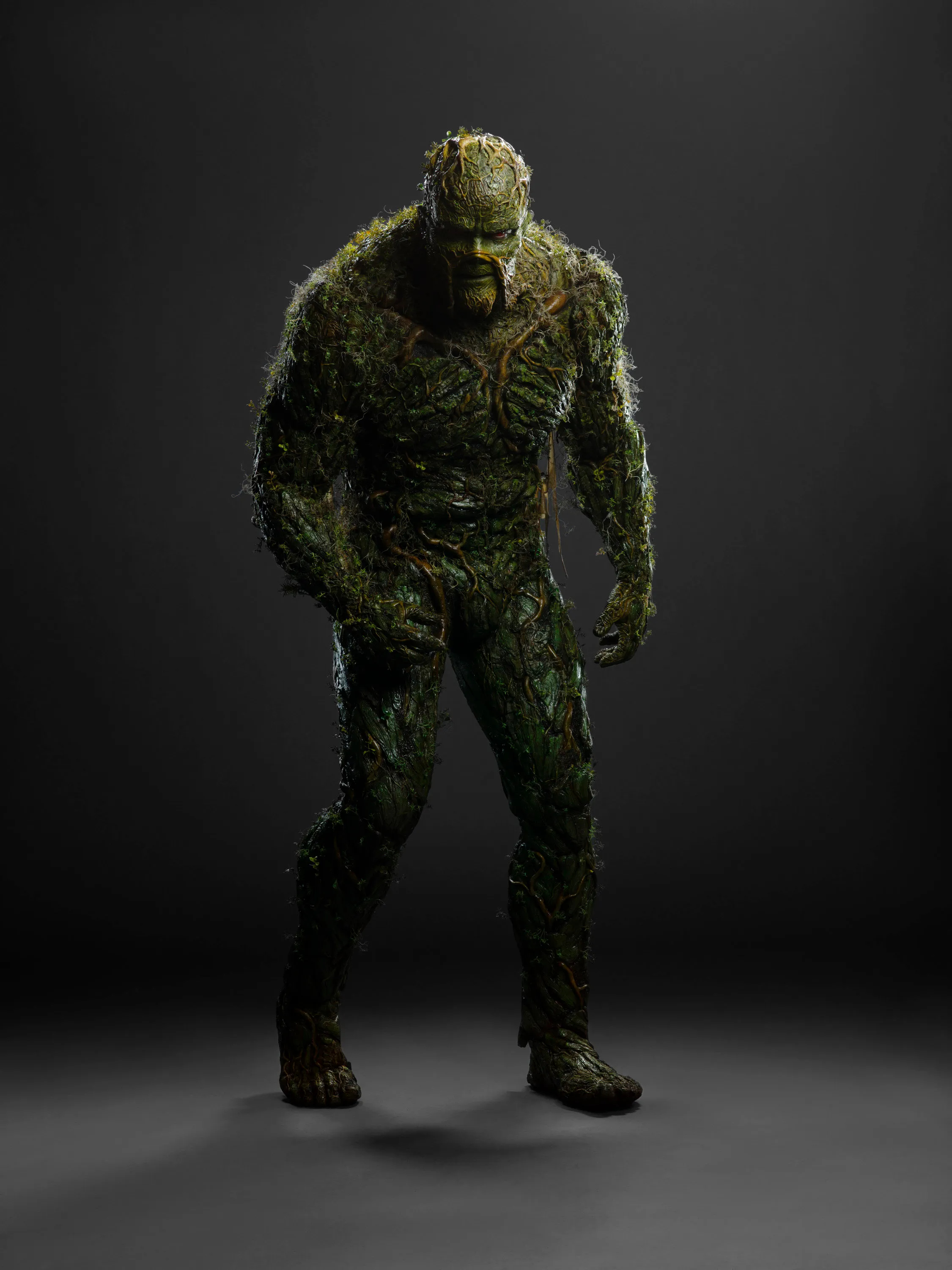 Download TV Show Swamp Thing Image