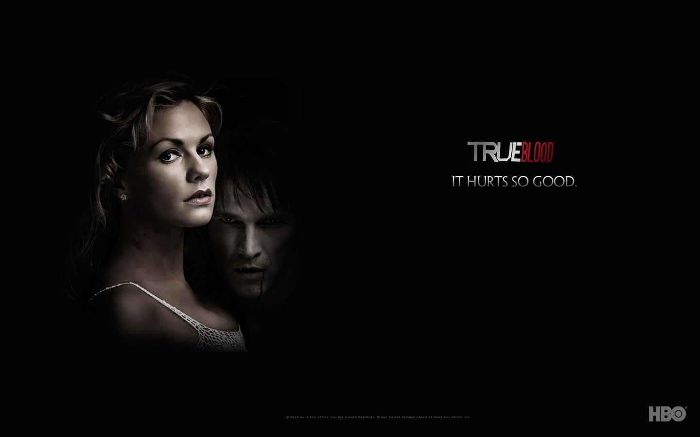 Download TV Show True Blood Image