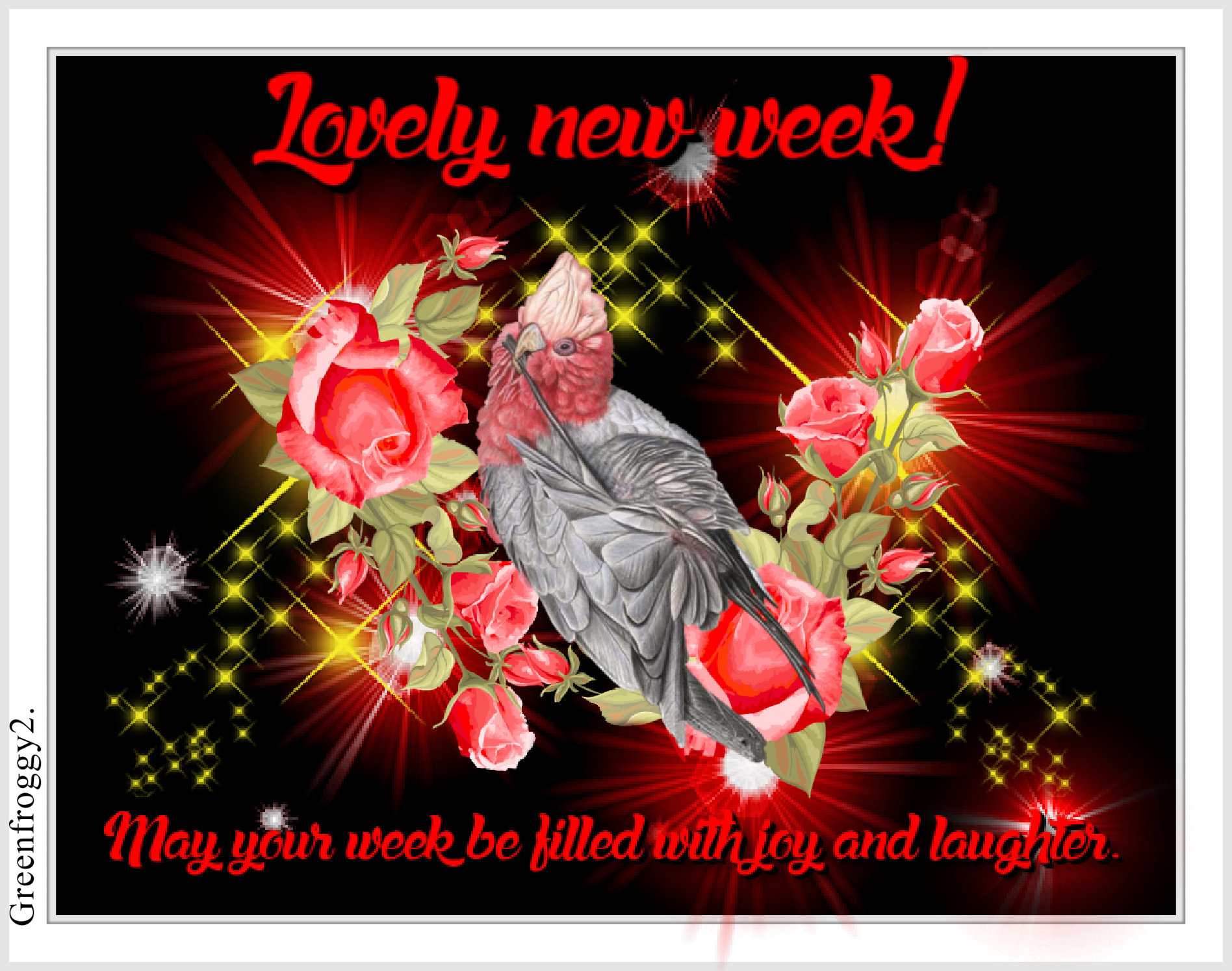 LOVELY NEW WEEK by GREENFROGGY1 - Image Abyss