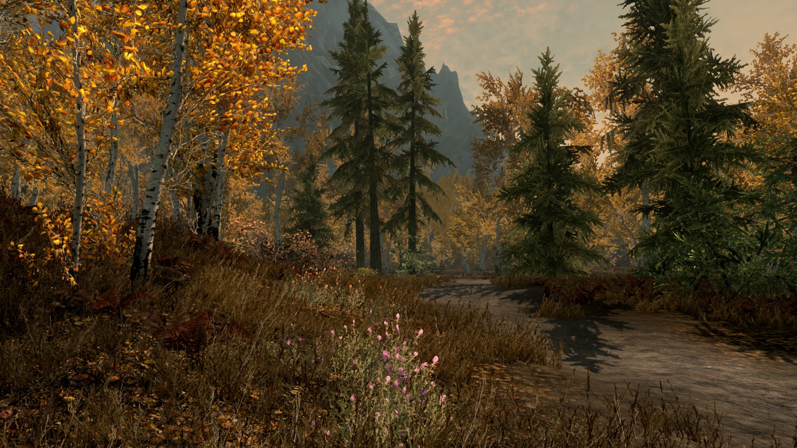 The Elder Scrolls V: Skyrim Picture by Alarra - Image Abyss