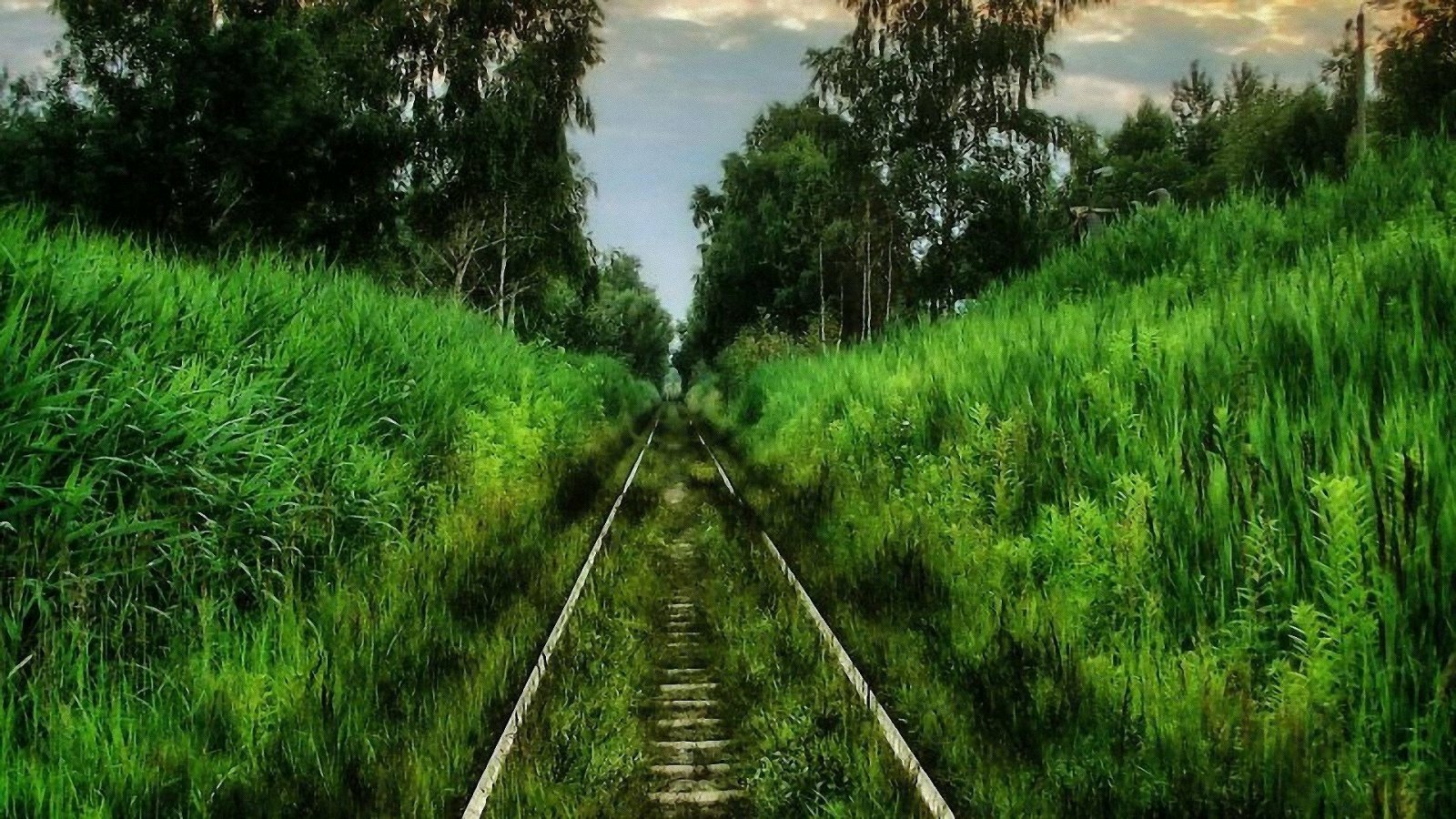 Verdant Tracks: A Journey through Man-Made Railroads
