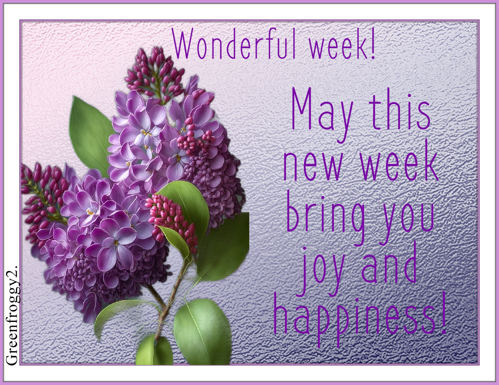 WONDERFUL WEEK by GREENFROGGY1