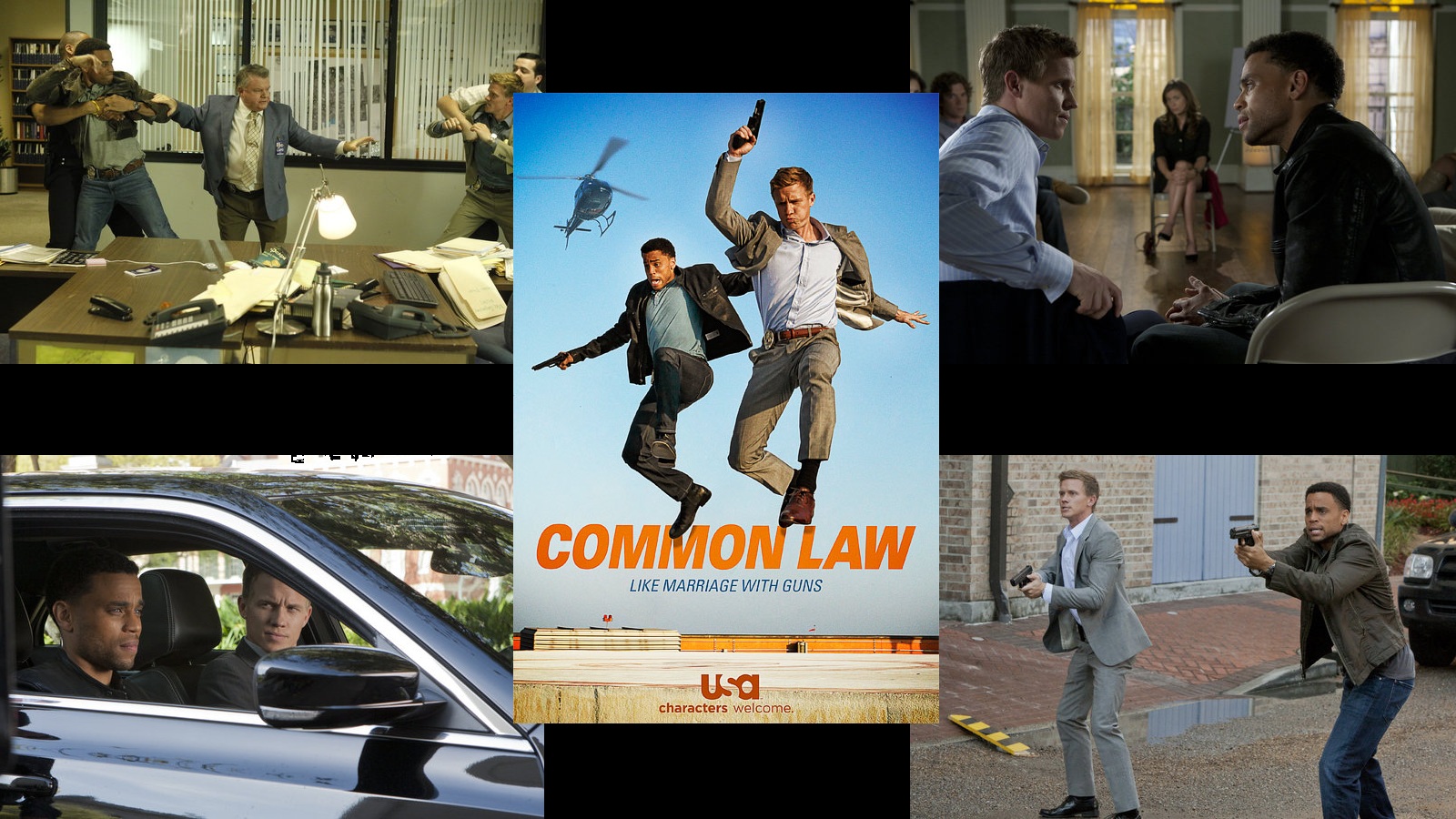 Download TV Show Common Law Image