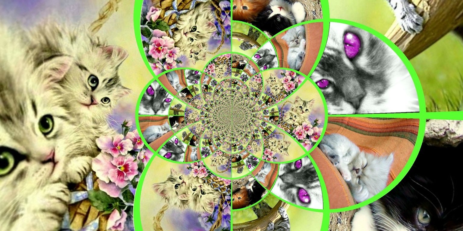 Whiskered Wonders: Artistic Cat Creations by GREENFROGGY1