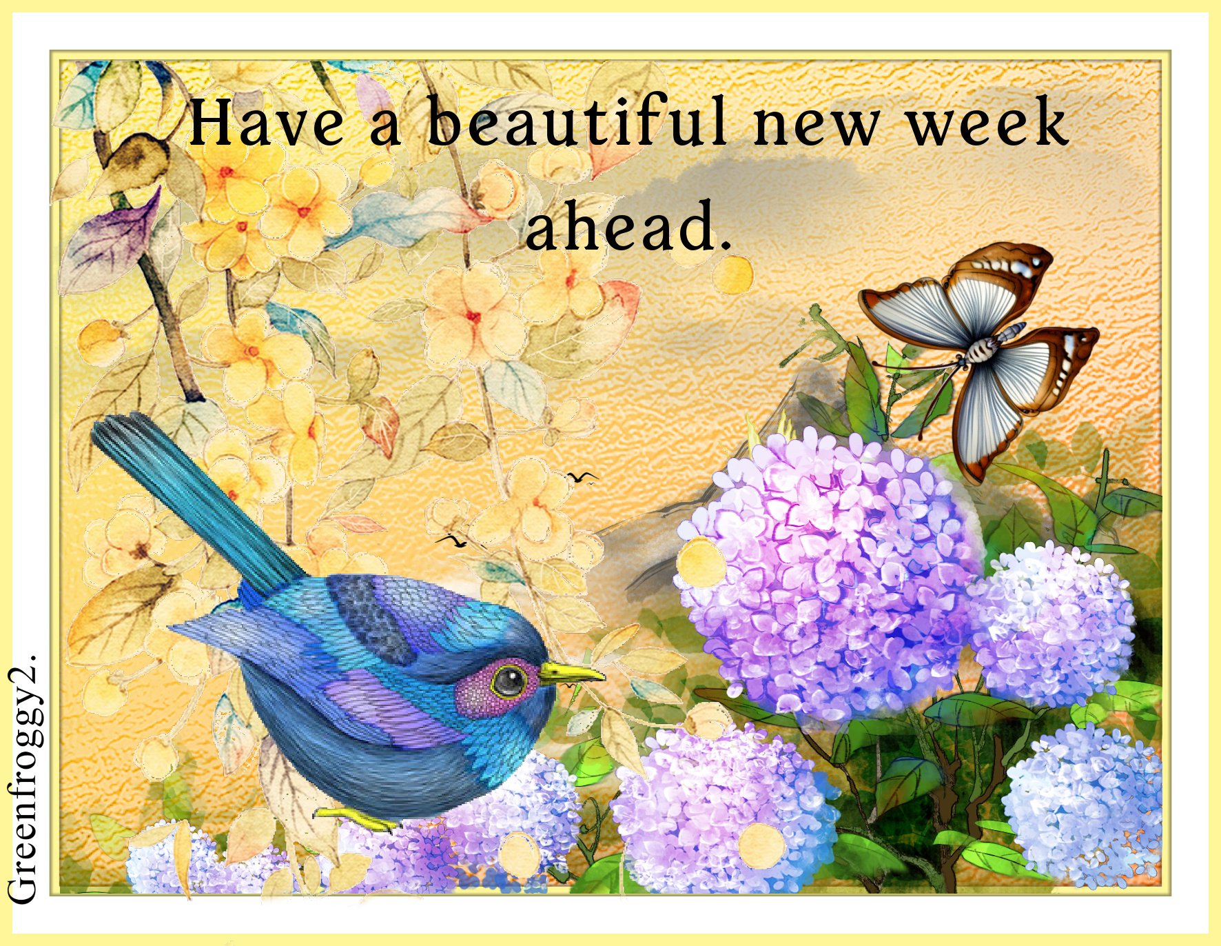 BEAUTIFUL NEW WEEK by GREENFROGGY1