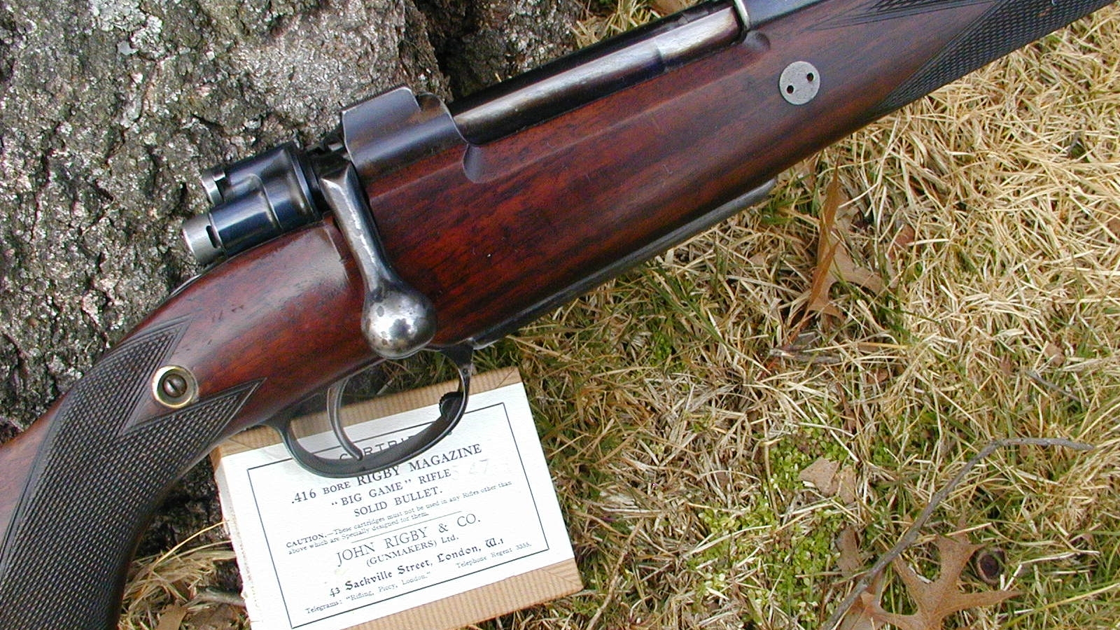 Rigby London Big Game Rifle Picture - Image Abyss