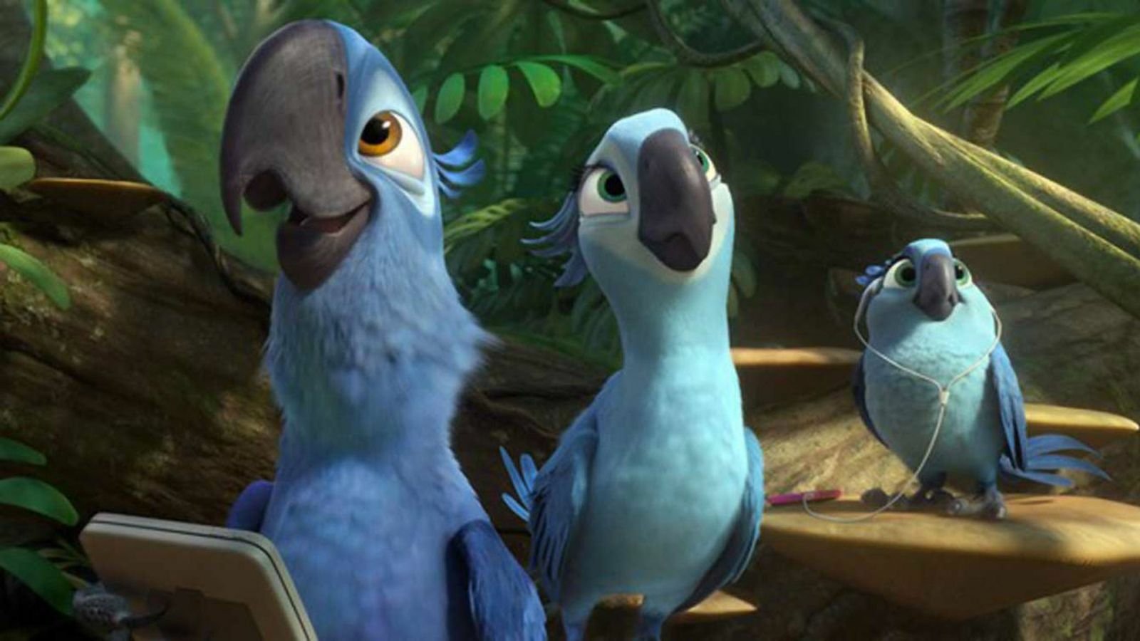 Rio 2 - Desktop Wallpapers, Phone Wallpaper, PFP, Gifs, and More!