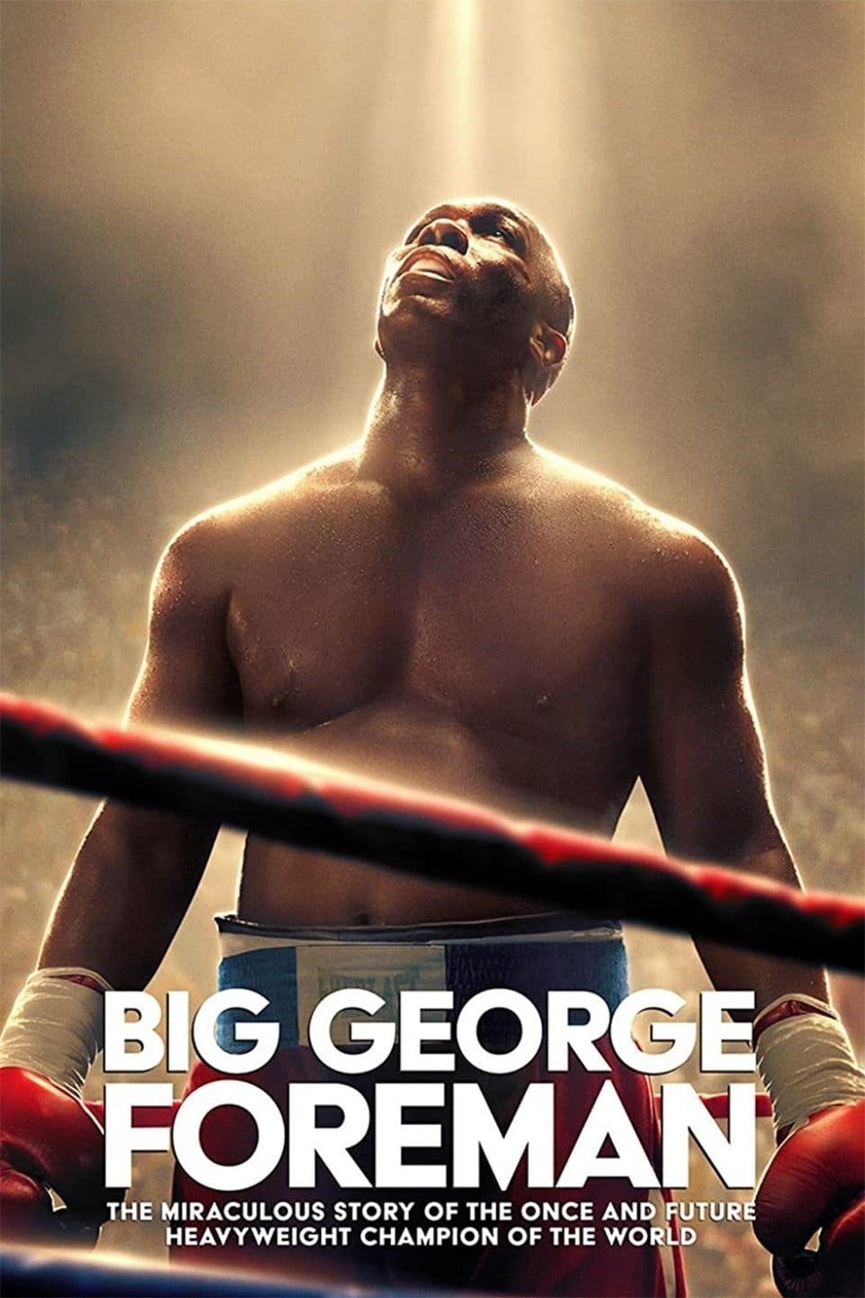 Big George Foreman - Desktop Wallpapers, Phone Wallpaper, PFP, Gifs ...