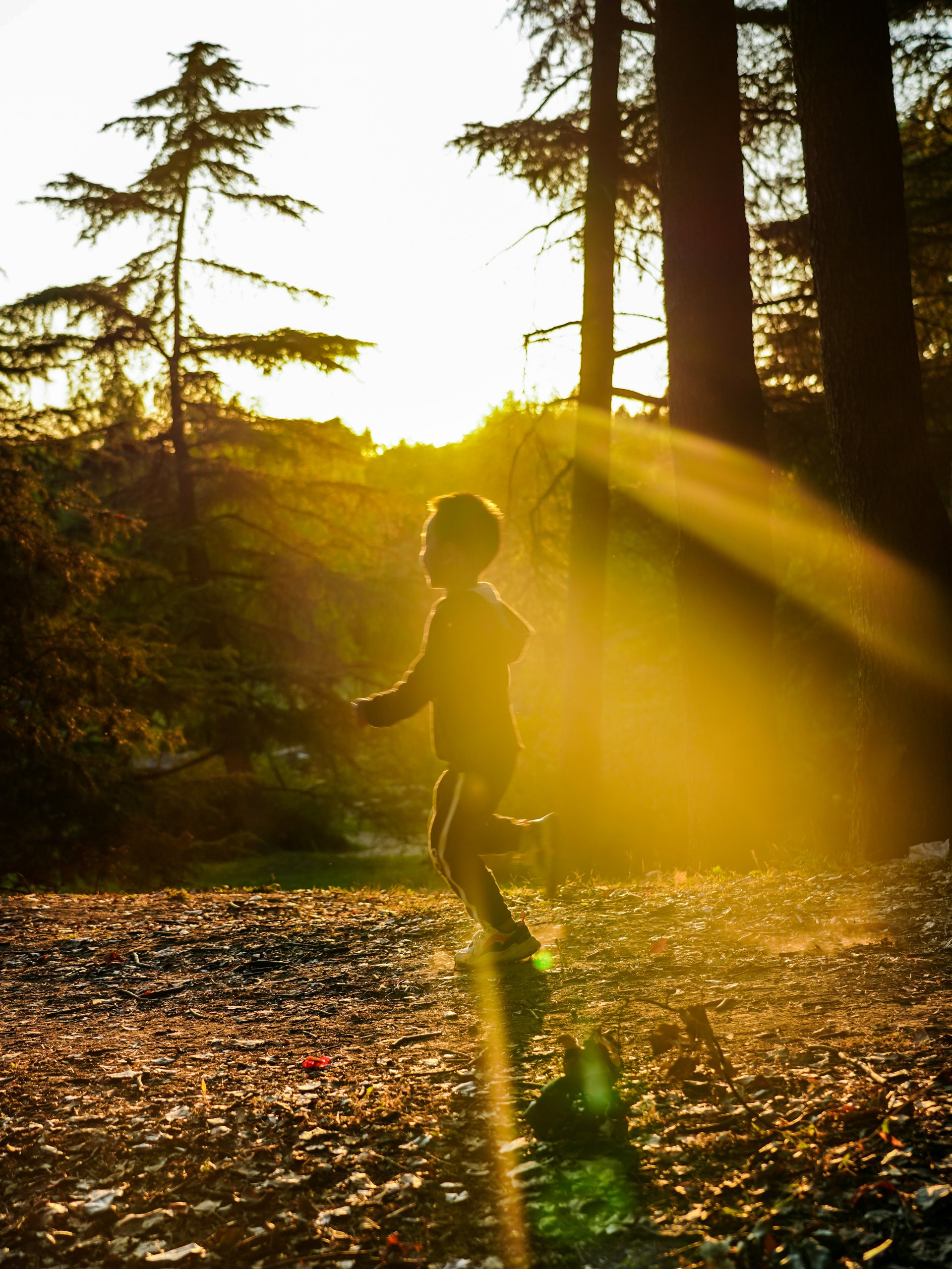 Download Photography Child Image by Calvin Kwok