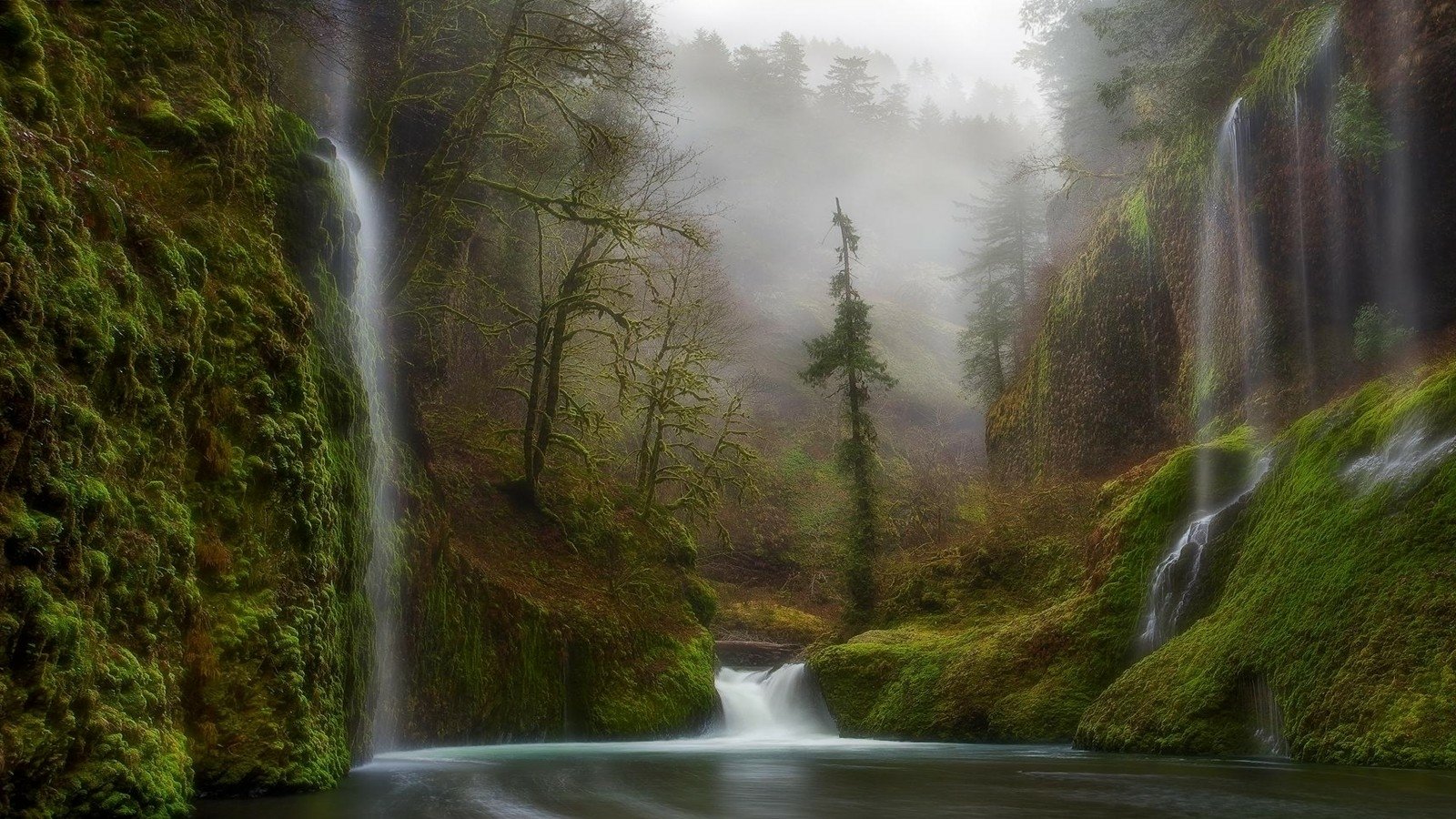 Misty Forest Waterfalls Draped in Lush Green Moss