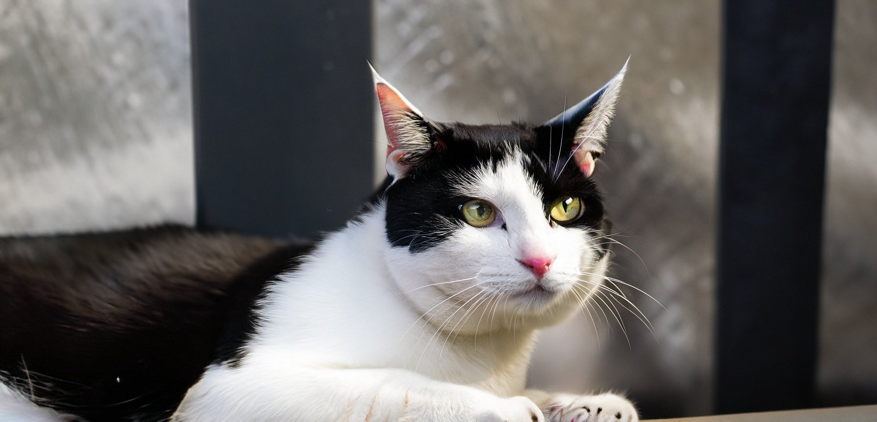 Download Image by fike2903