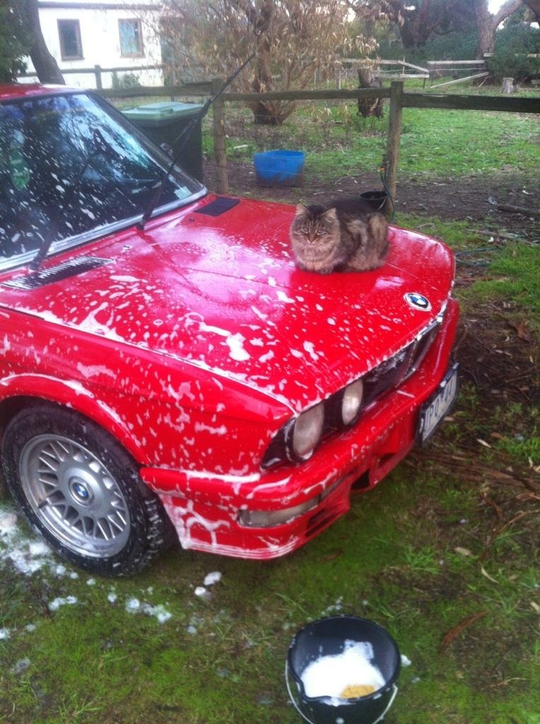 Outdoor - Desktop Wallpapers, Phone Wallpaper, PFP, Gifs, and More!