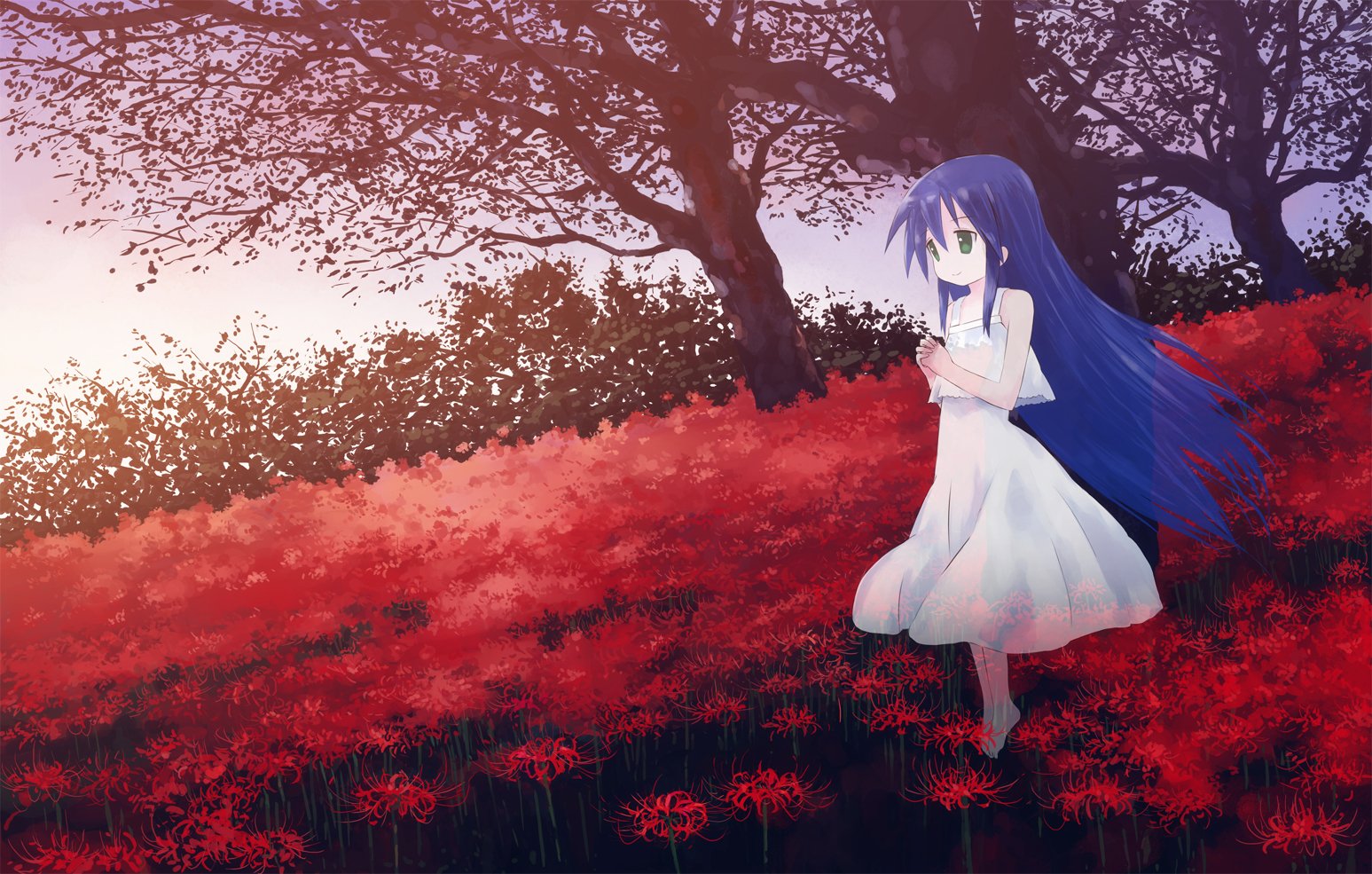 Download Konata Izumi Anime Lucky Star Image