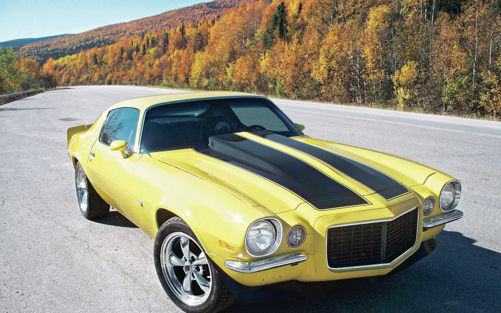 Download Chevrolet Camaro Vehicle Chevrolet Image