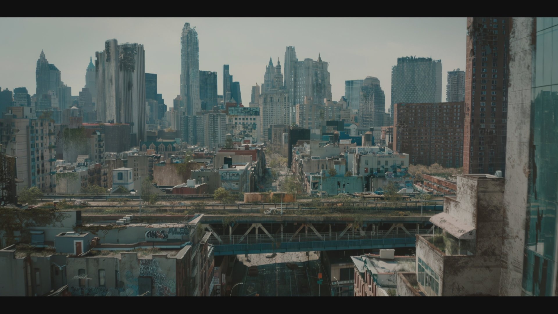 Download TV Show The Walking Dead: Dead City Image