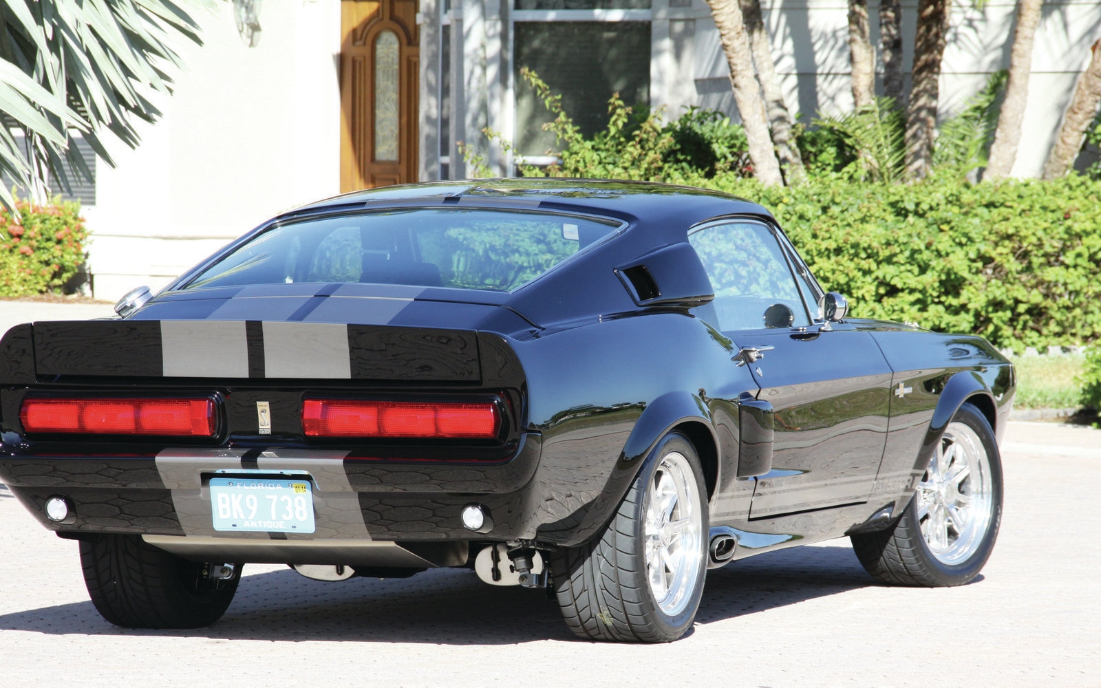 Ford Mustang Picture - Image Abyss