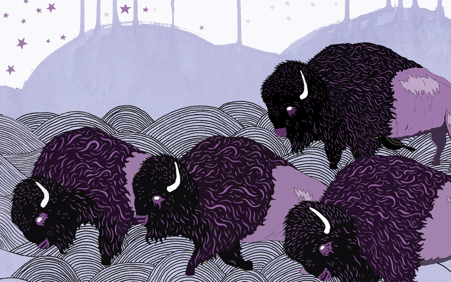 *shels Picture - Image Abyss