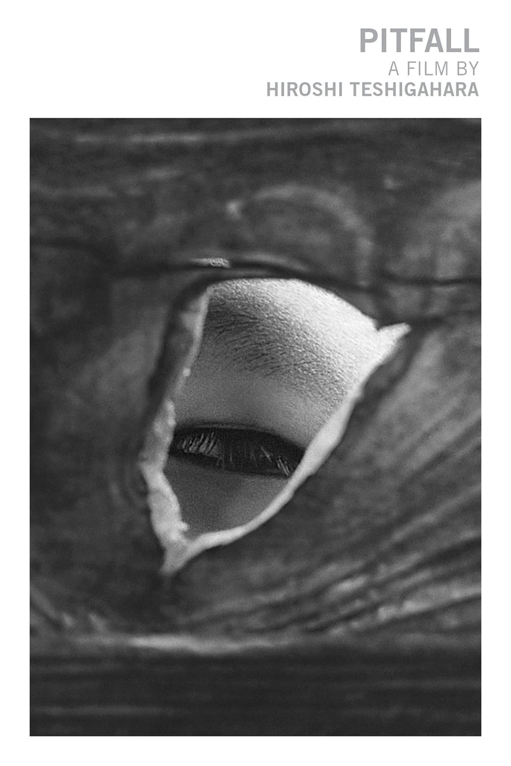 Download Movie Pitfall Image