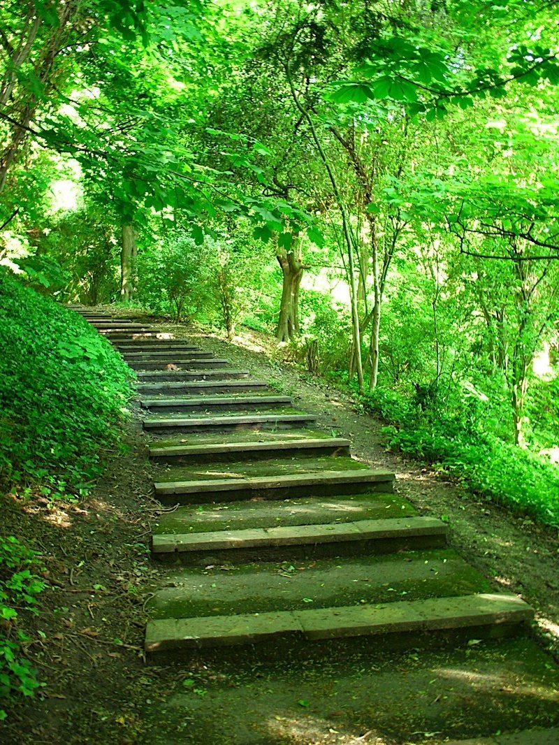 Path Image - ID: 636 - Image Abyss