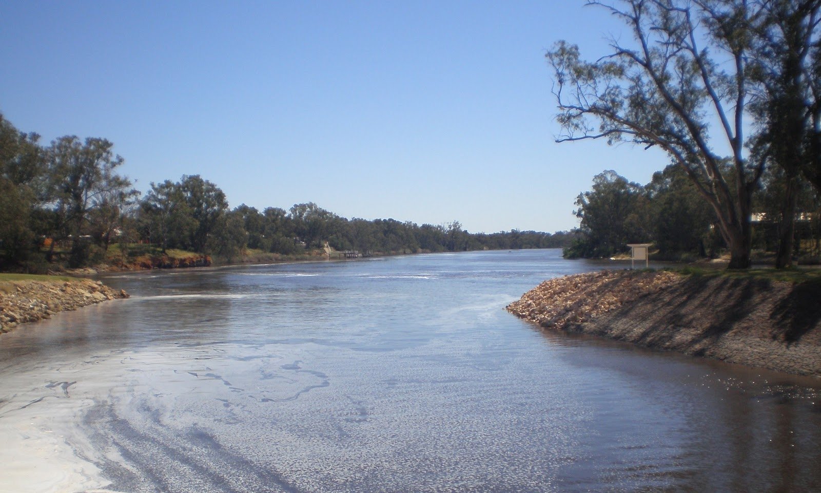 Download River Nature Murray River Image