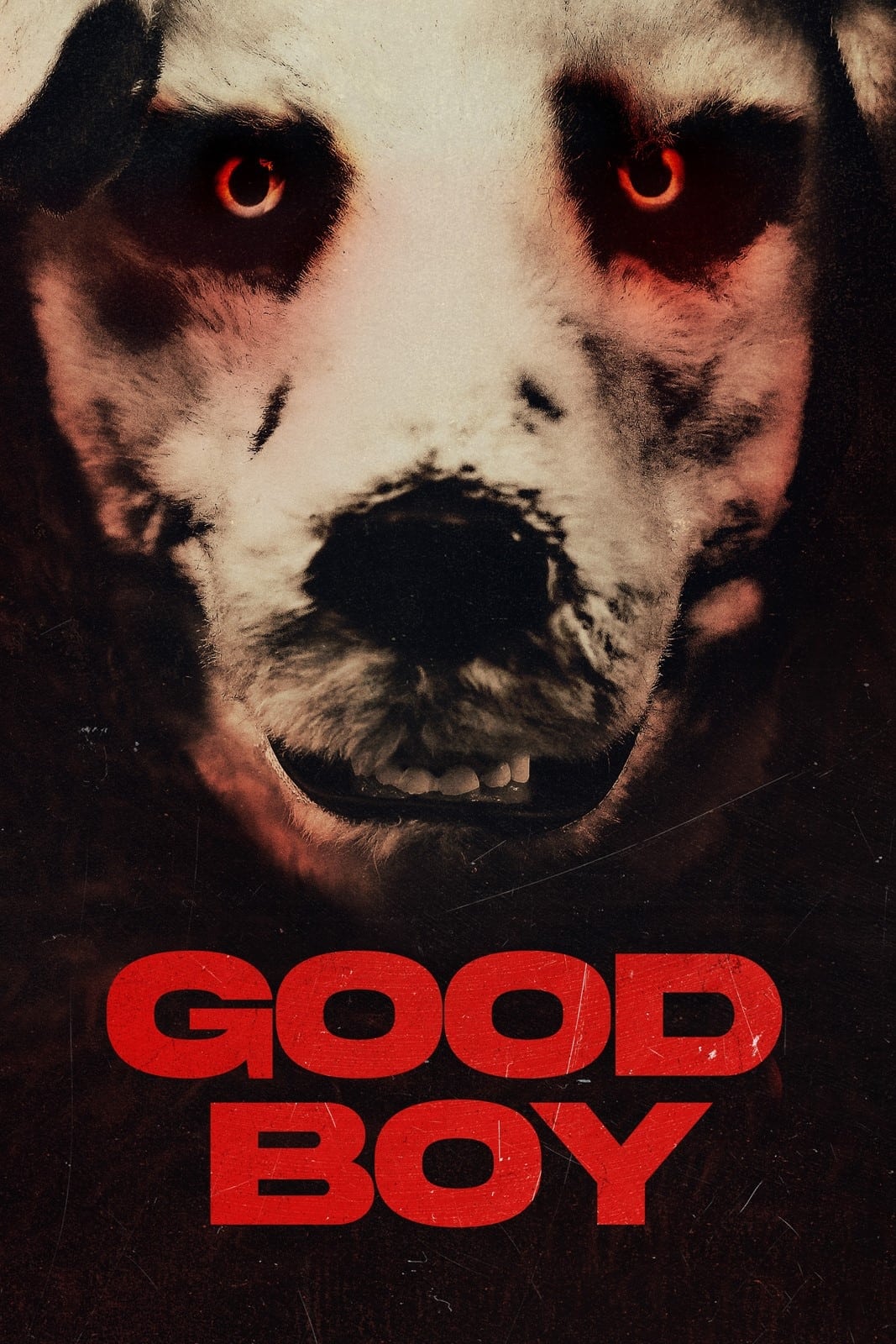 Download Movie Good Boy! Image