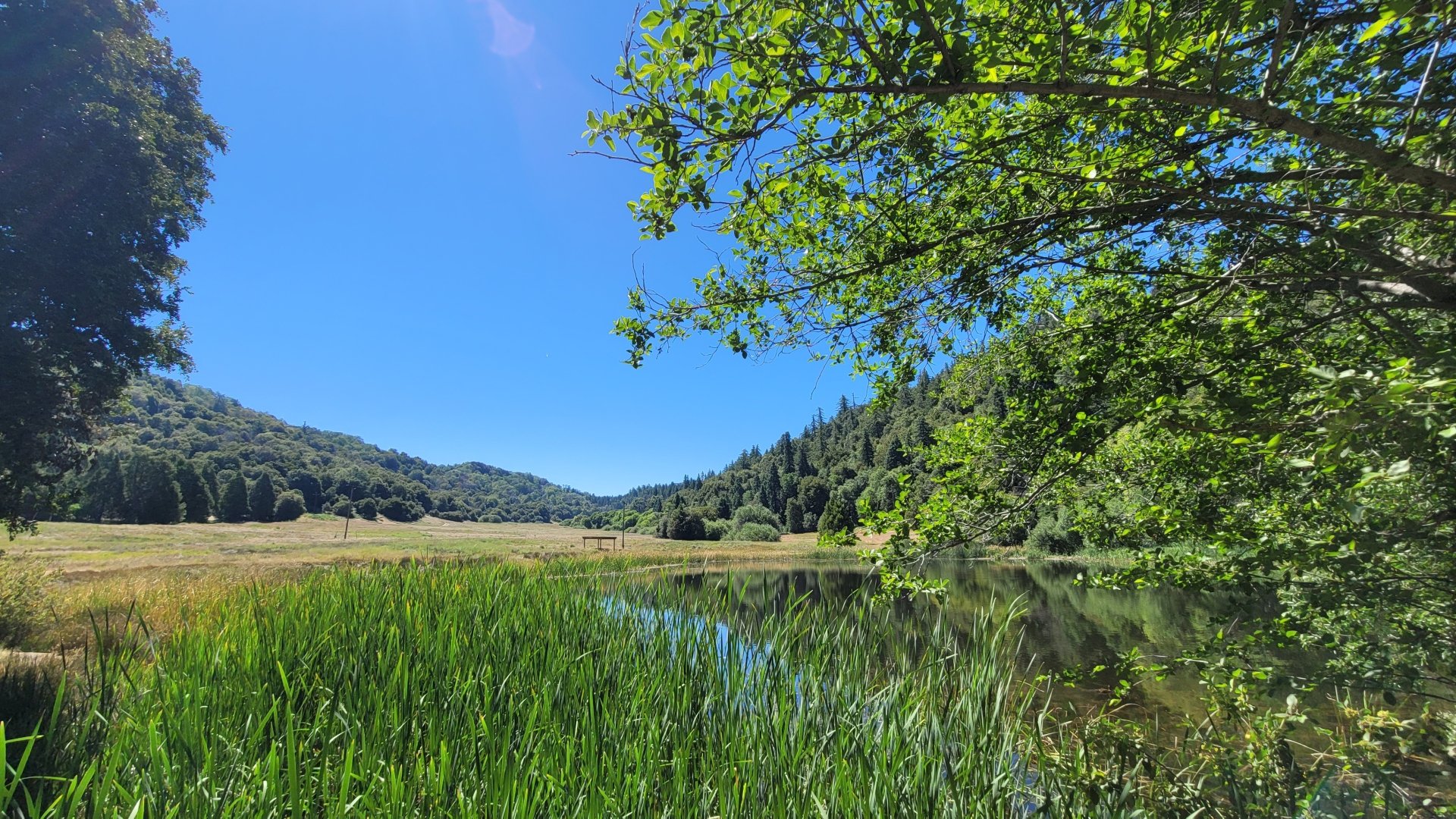 Palomar Mountain Hiking Trip in July - Doane Pond by Dr-Pen