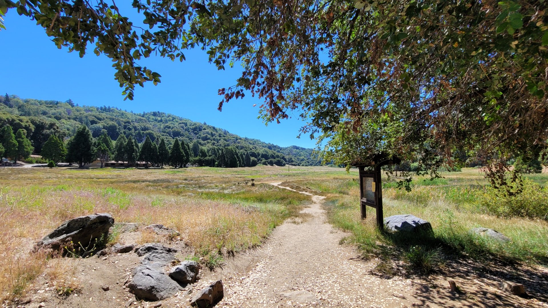 Palomar Mountain Hiking Trip in July - Doane Pond (Near) by Dr-Pen