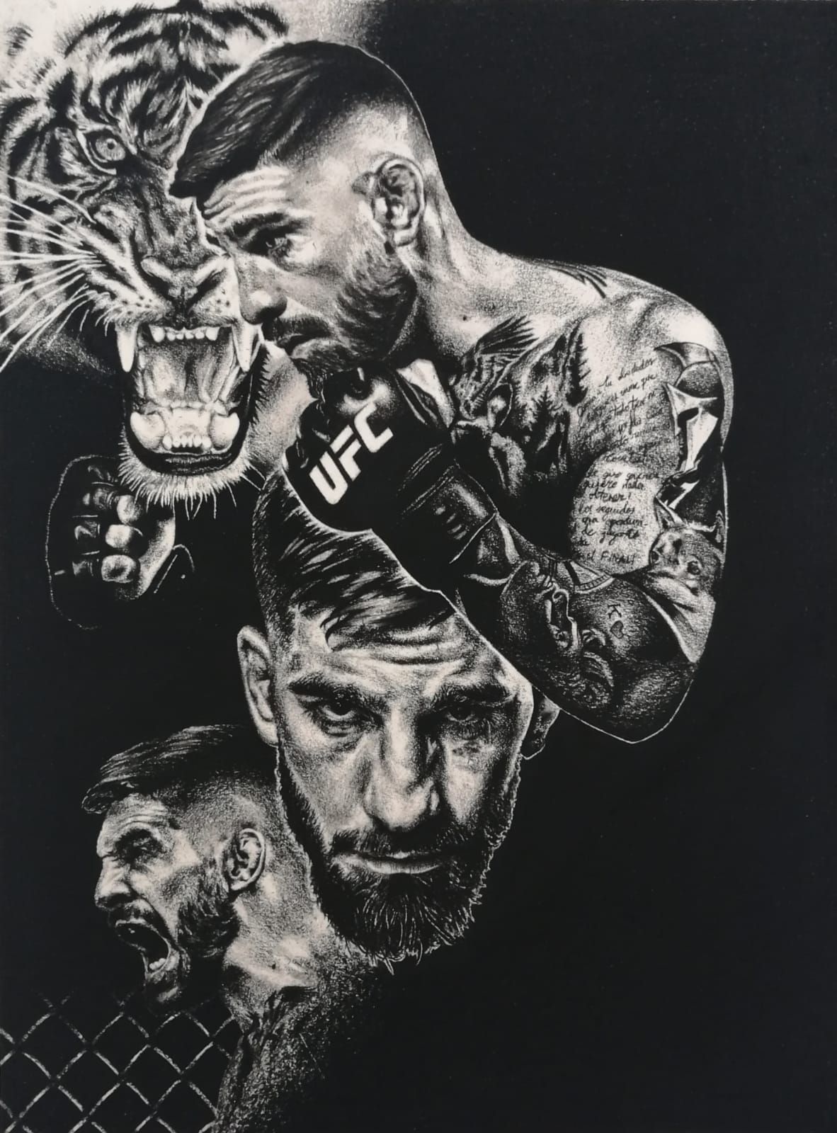 Sfondo Desktop Ufc Ufc HD Wallpapers | Pxfuel