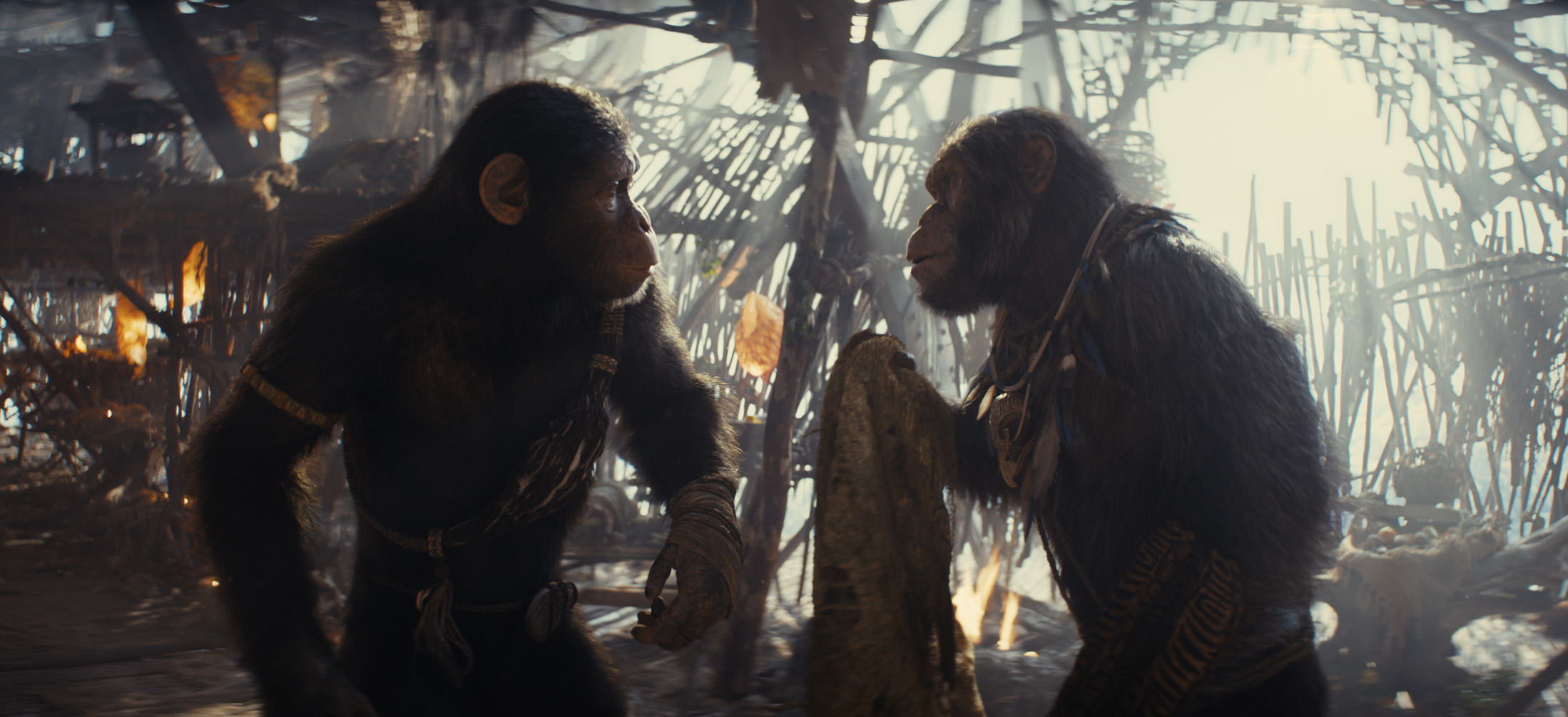 Kingdom of the Planet of the Apes Movie Scene