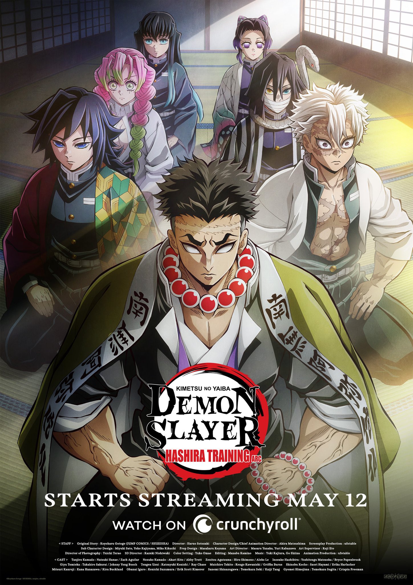 Demon Slayer: Hashira Training Arc – Anime's Fierce Warriors Unite