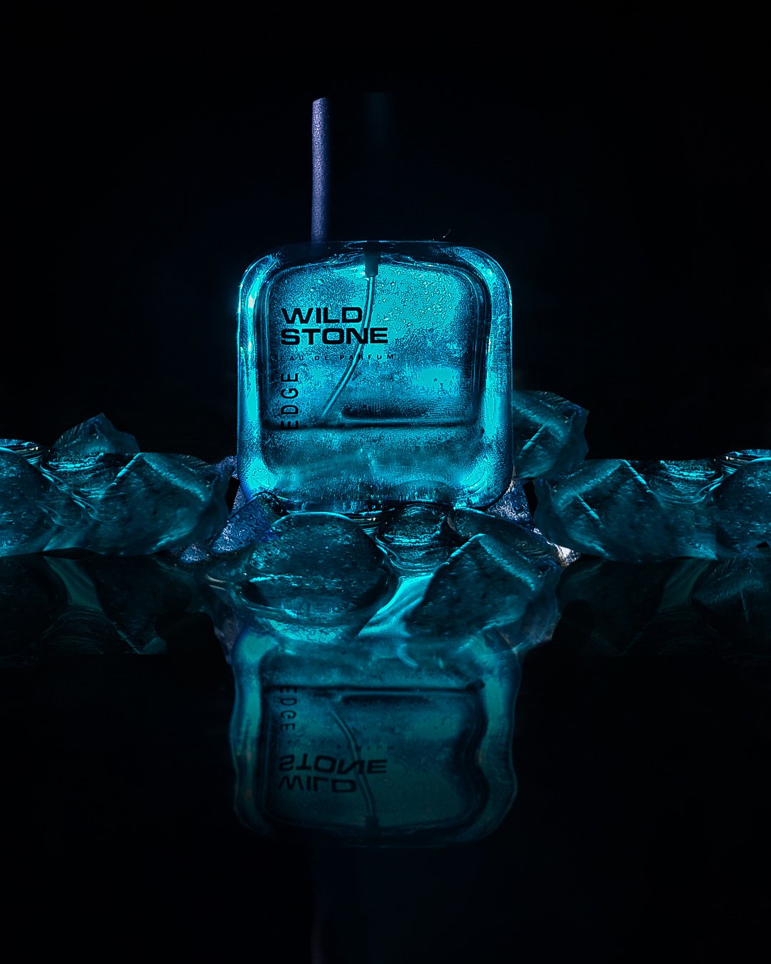 Wild - Desktop Wallpapers, Phone Wallpaper, PFP, Gifs, and More!