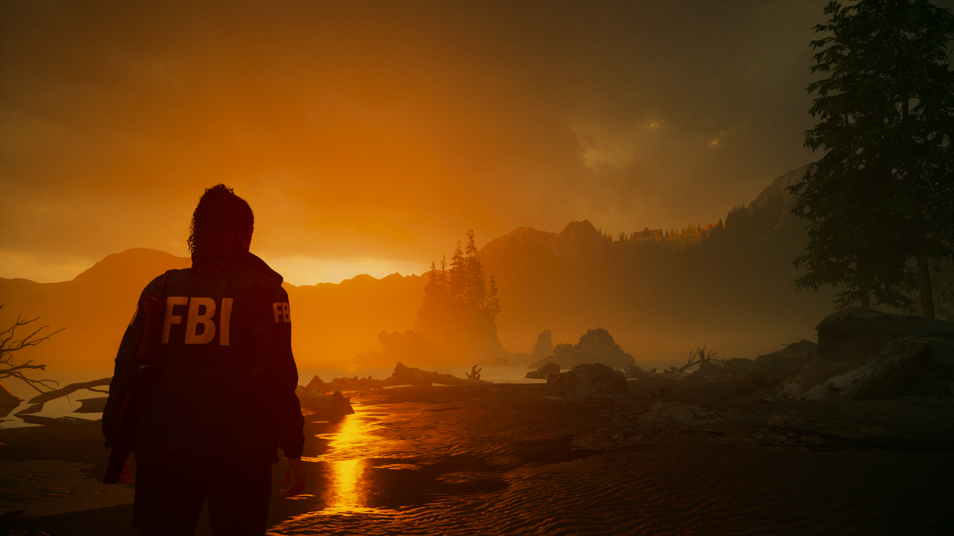Download Alan Wake 2 Video Game Image by yorai1212