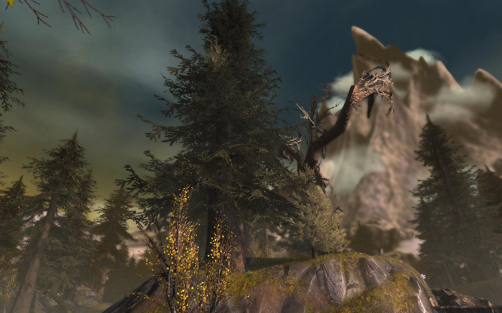 Download Fantasy RPG Neverwinter Image by singeth