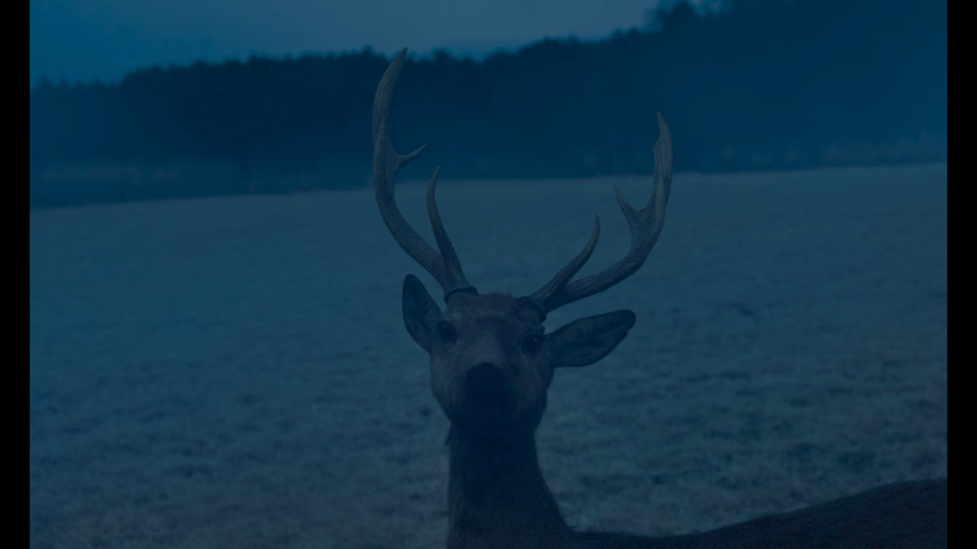 Ryusuke Hamaguchi - Desktop Wallpapers, Phone Wallpaper, PFP, Gifs, and ...