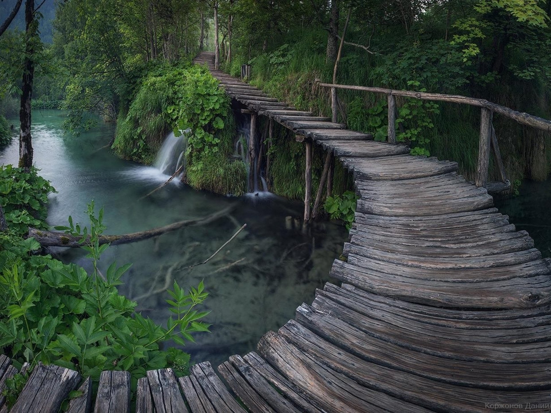 Old Wooden Bridge in Forest - Image Abyss