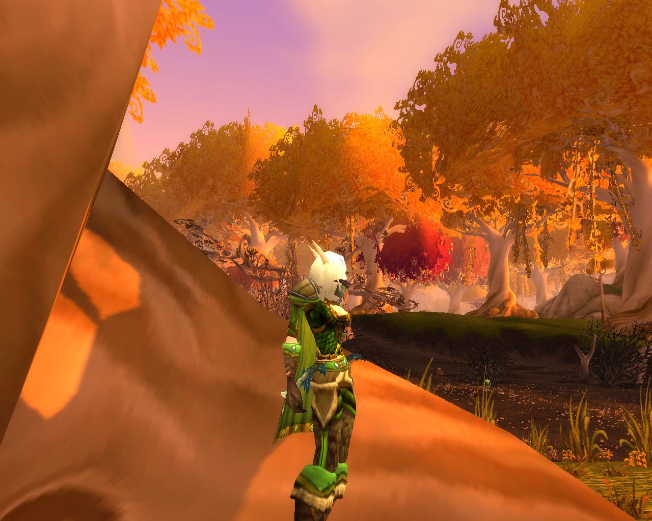 World Of Warcraft Picture - Image Abyss