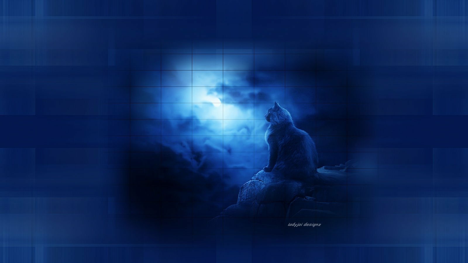 Cat watching a full moon Image - ID: 9432 - Image Abyss