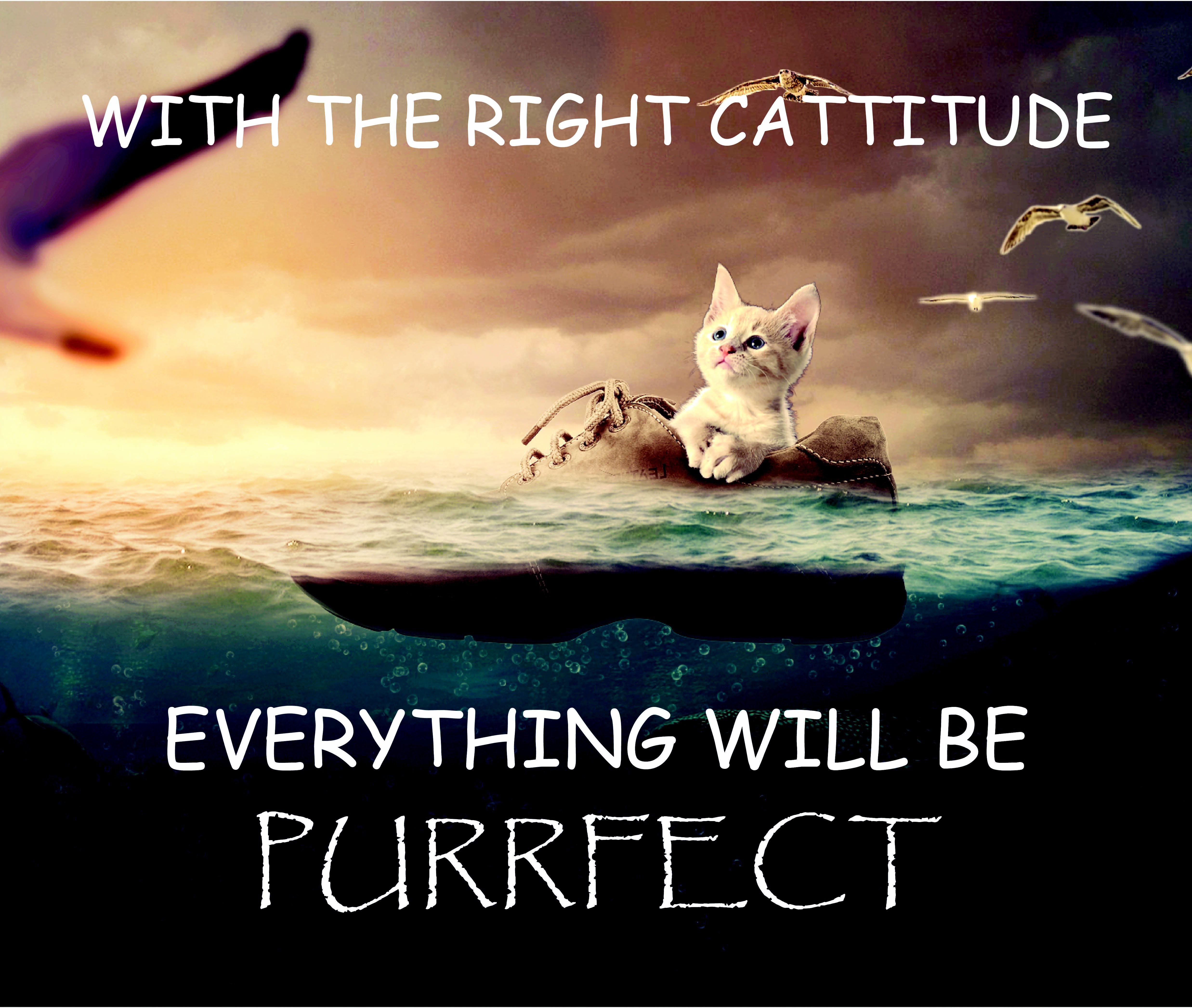 Download Misc Motivational Image